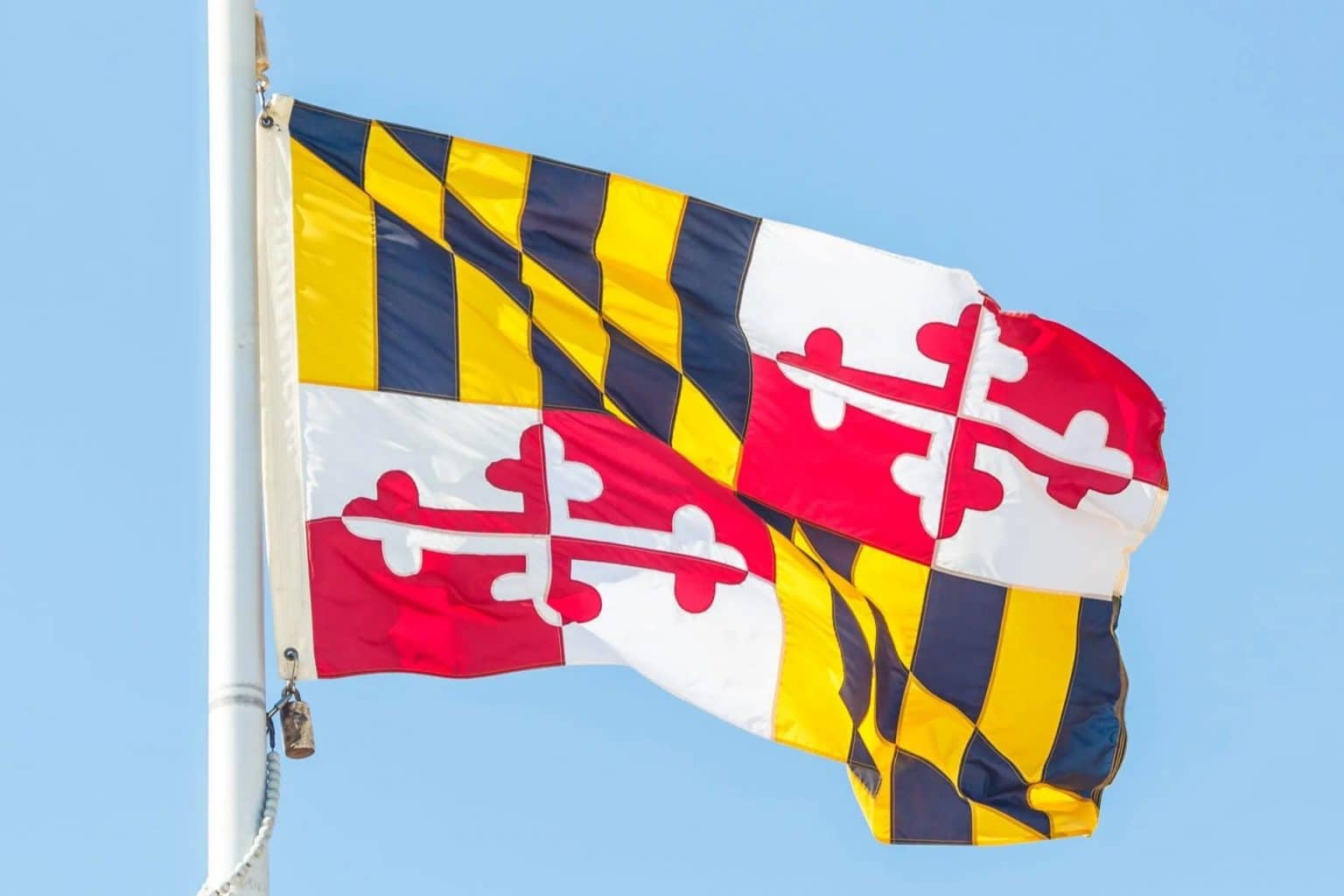 Maryland Flag: History, Meaning & Interesting Facts